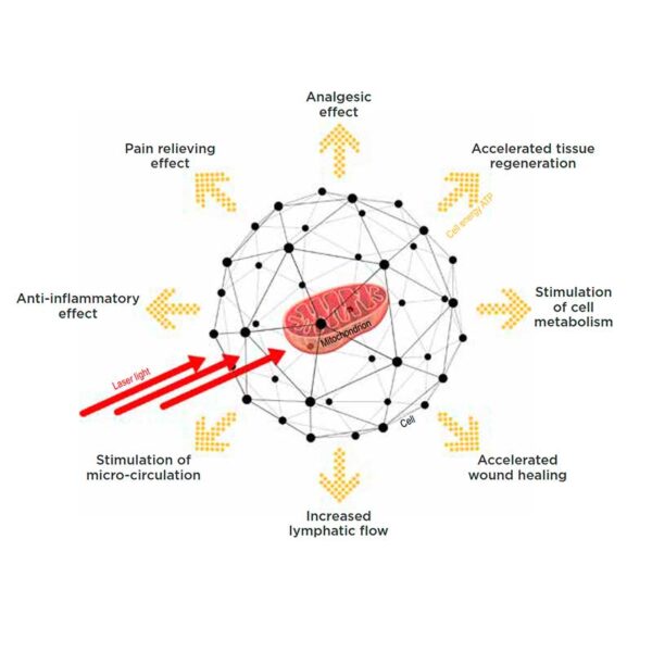 Photobiomodulation and Pain Management | North Toronto Laser Med Clinic